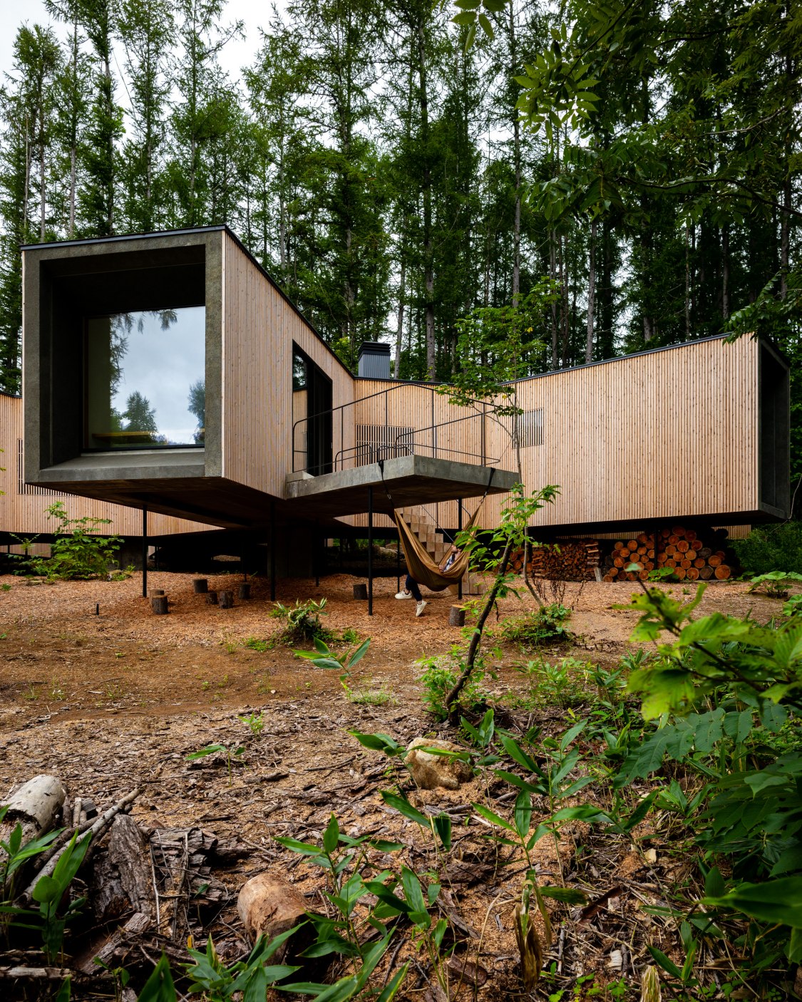 FBA | House in the Forest